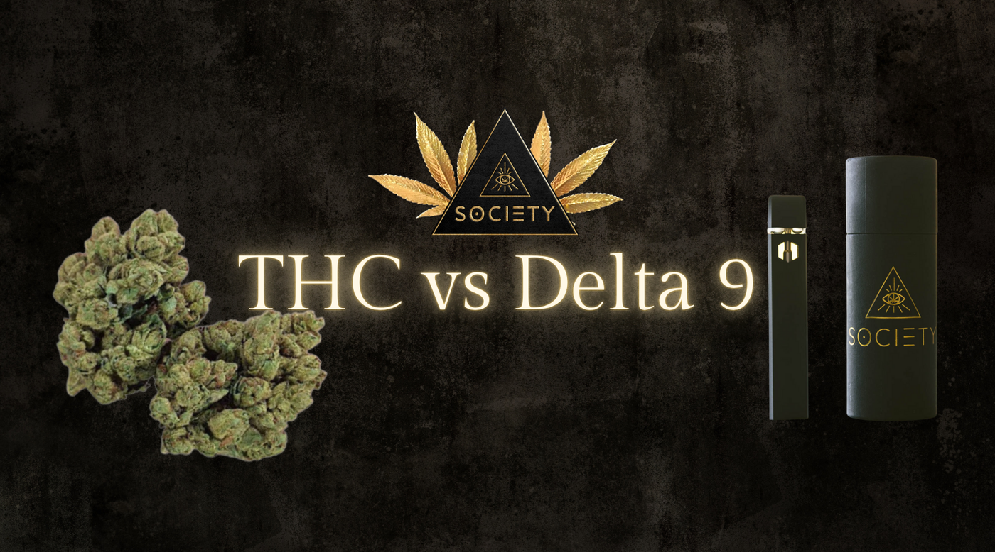 THC d9 Explained: Understanding Delta 9 vs THC Differences for Busy Mo ...