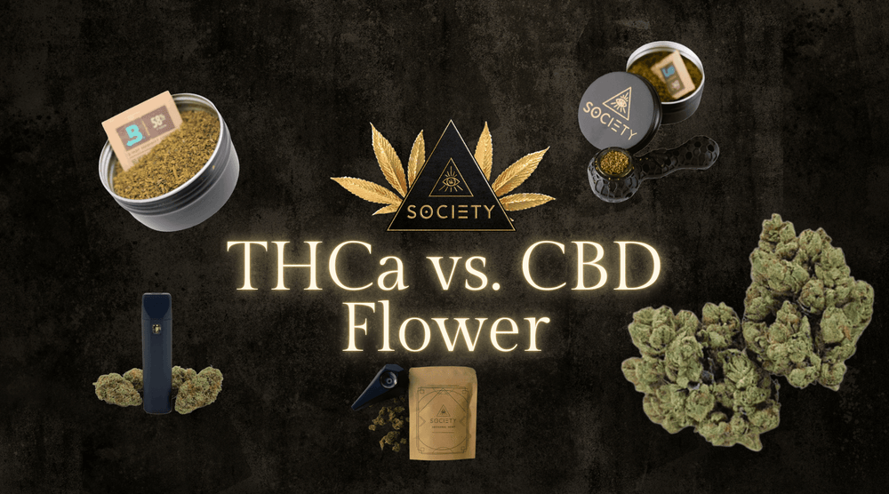THCa Flower vs. CBD Flower: Key Differences and Benefits | Society