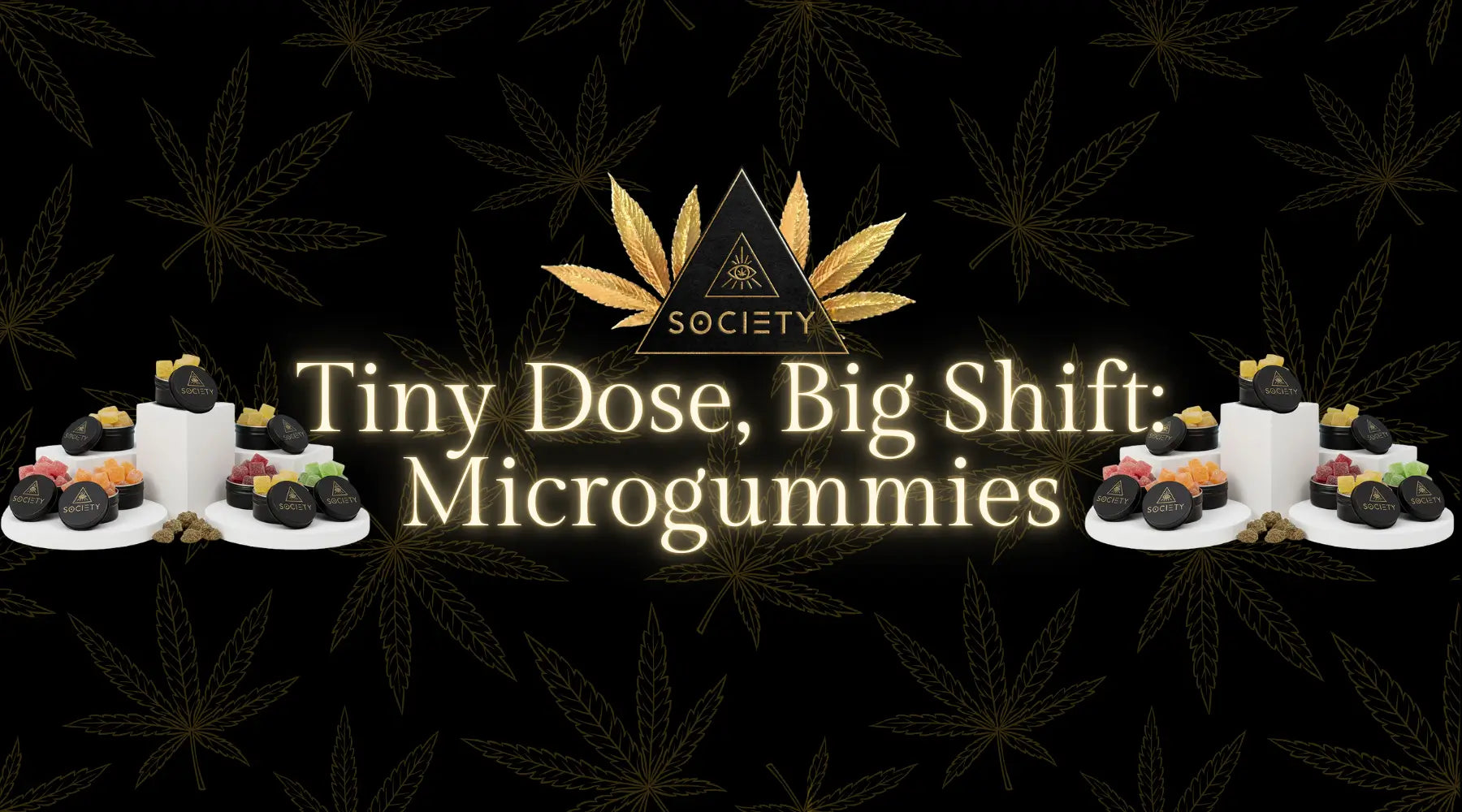 Microdosed Canna Gummies: The Ultimate Wellness Guide | Society